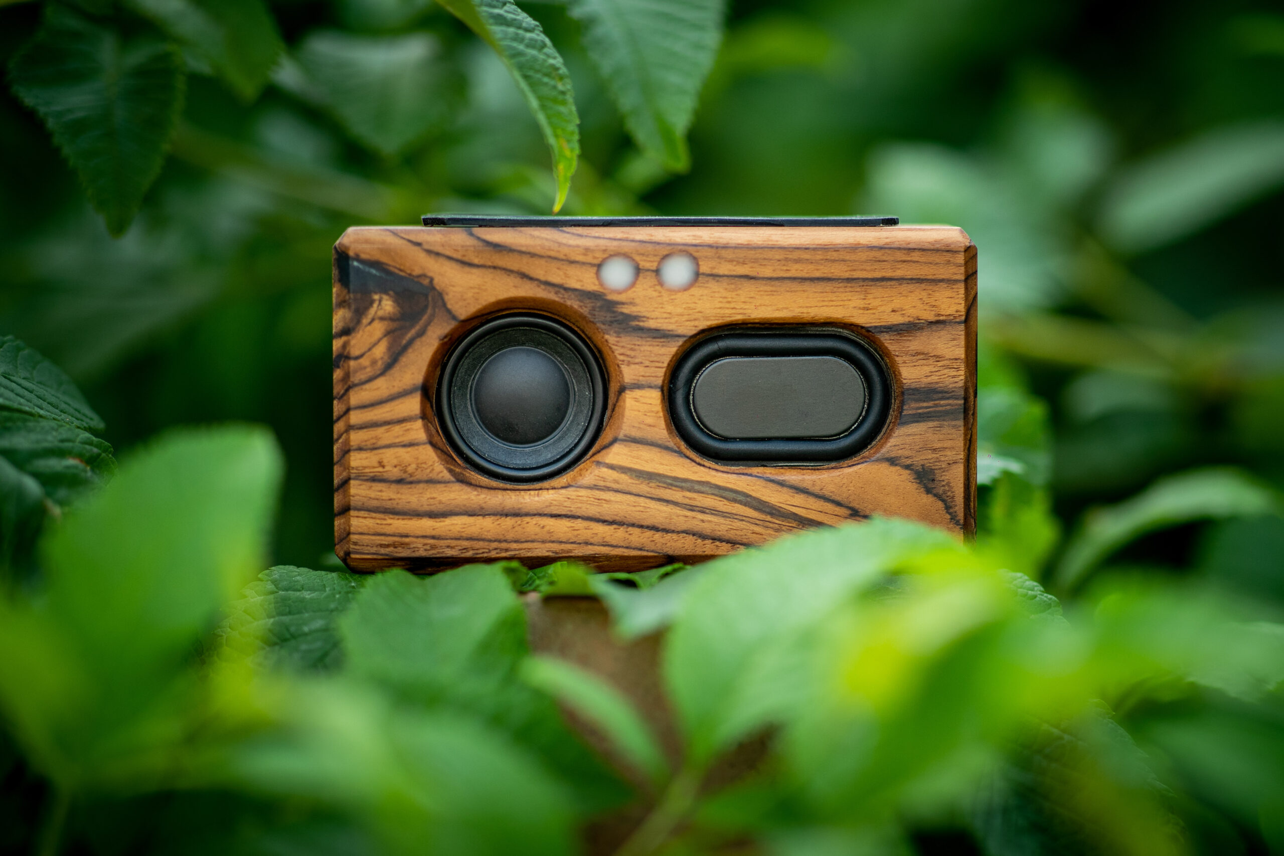 Wooden Bluetooth Speaker - Kaathkala